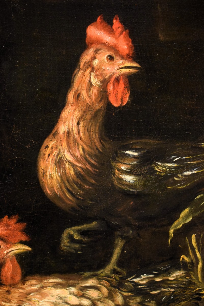 Nature morte - Angelo Maria Crivelli (1660-1730) - XVIIe siècle - N.113510