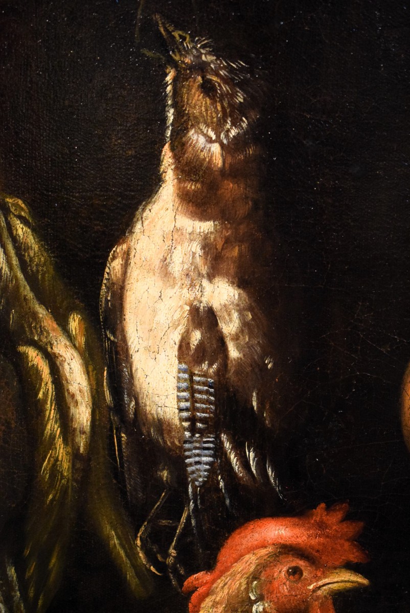 Nature morte - Angelo Maria Crivelli (1660-1730) - XVIIe siècle - N.113510